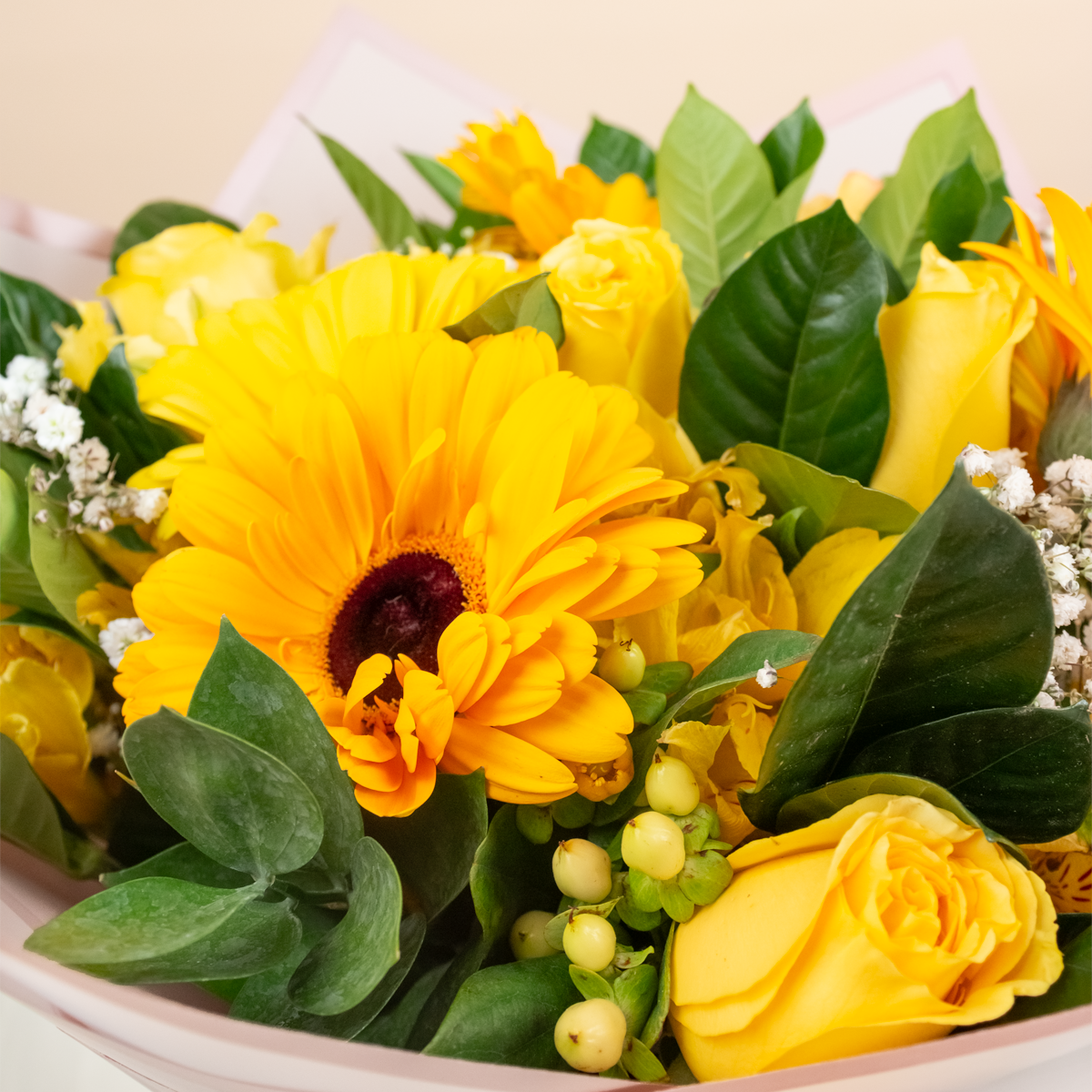 RAMO EMMA PREMIUM – SORPRENDE LIMA