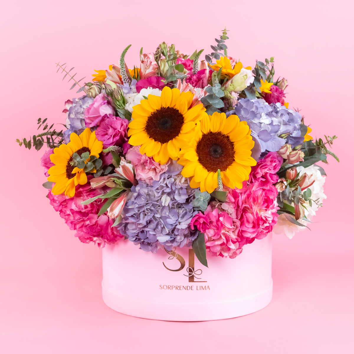 BOX MUJER ALEGRE – SORPRENDE LIMA