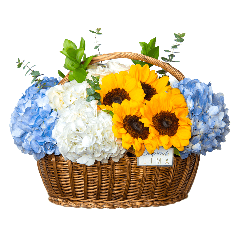 Bloom Basket – SORPRENDE LIMA